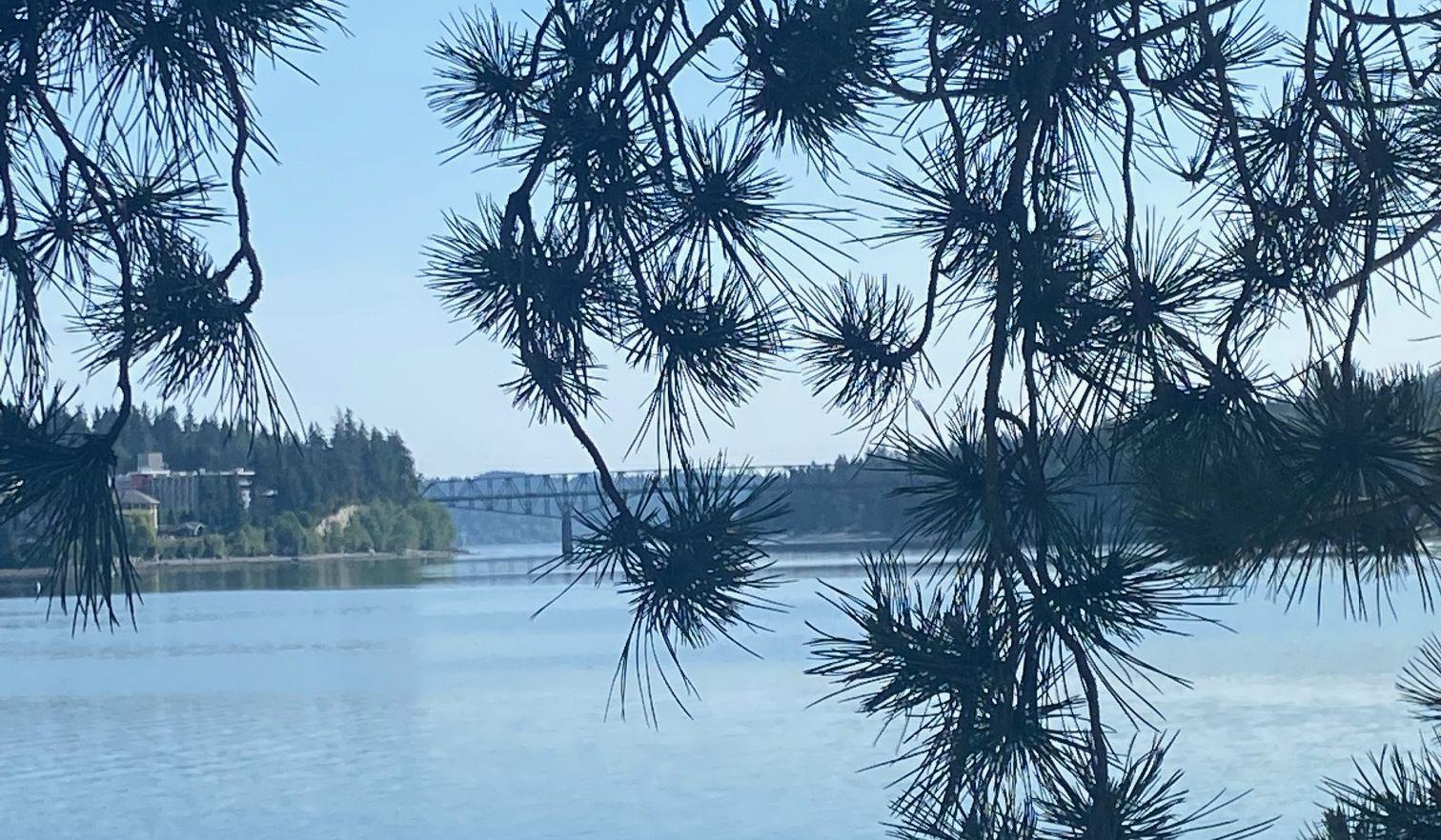 Jon Noble and Brett Veling's Wedding Website