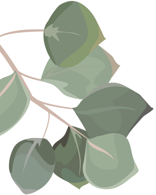 Krystal Borges and Jeffrey Shea's Wedding Website