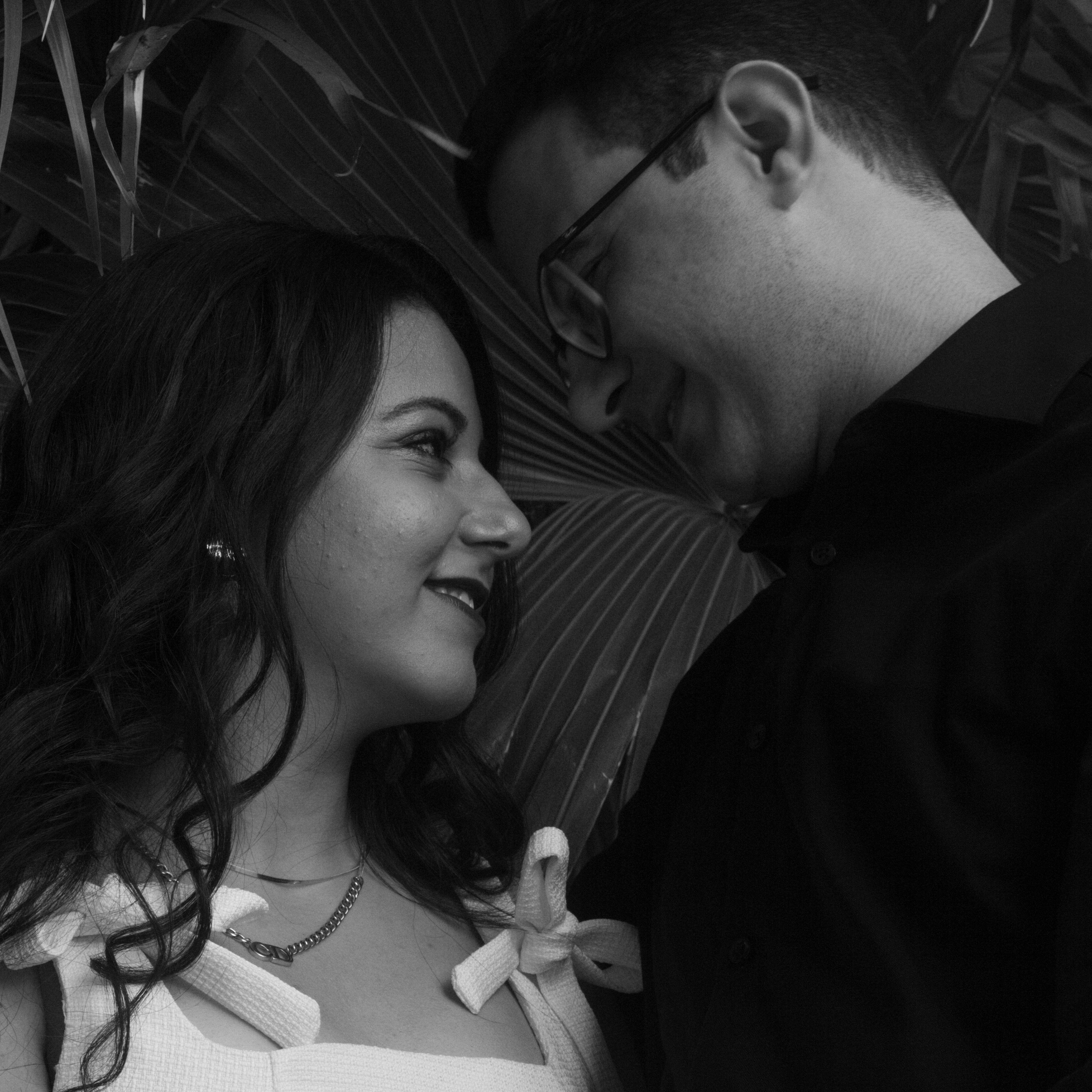 Samuel Antonious and Nardeen Robel's Wedding Website