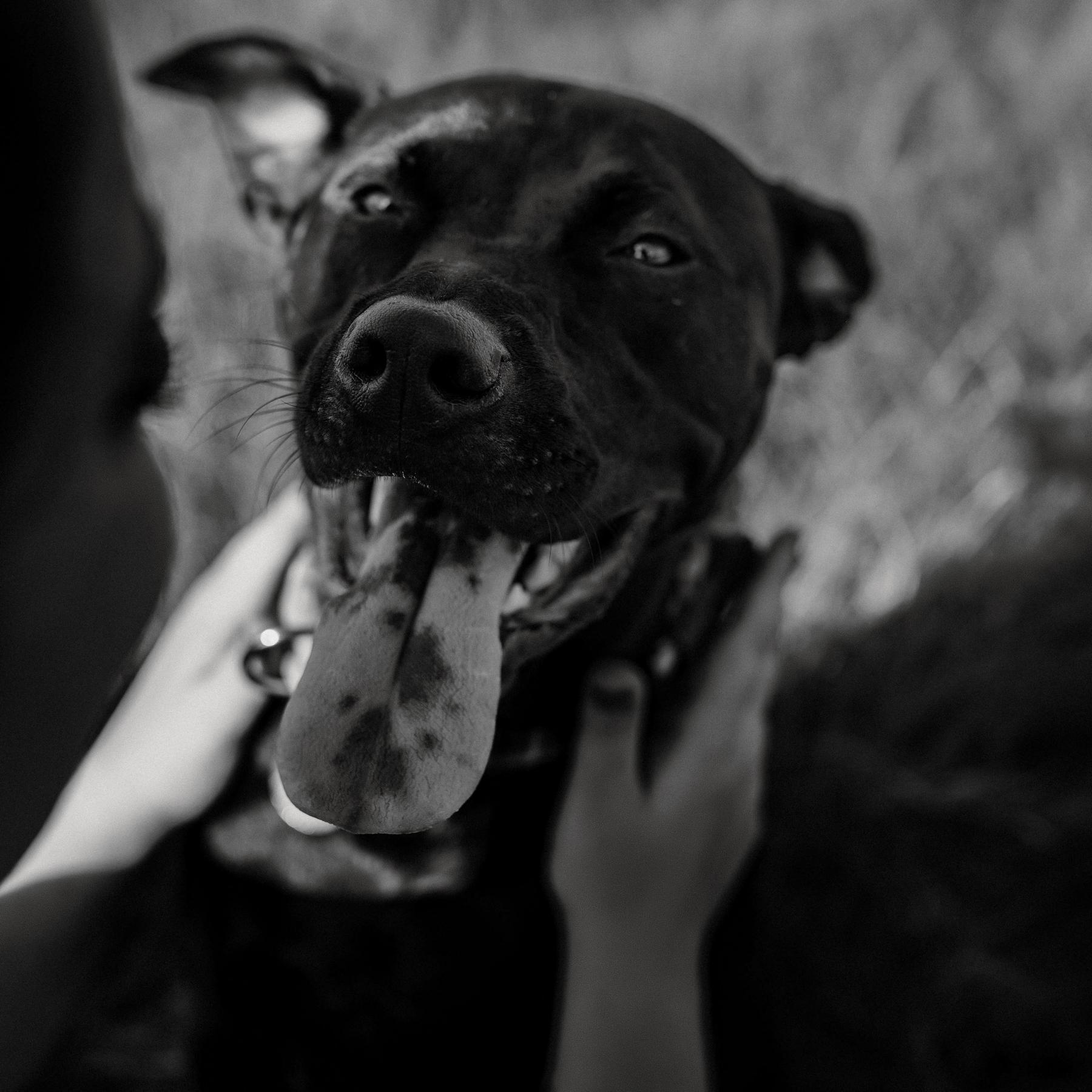 Taylin Ann and Dakota Blake Tatum's Wedding Website