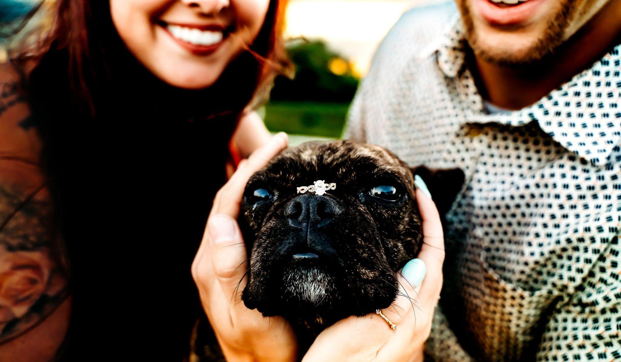 Amy Somers and Sage Siegle's Wedding Website