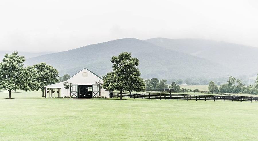 Angel Hines and Jake Weinstock's Wedding Website