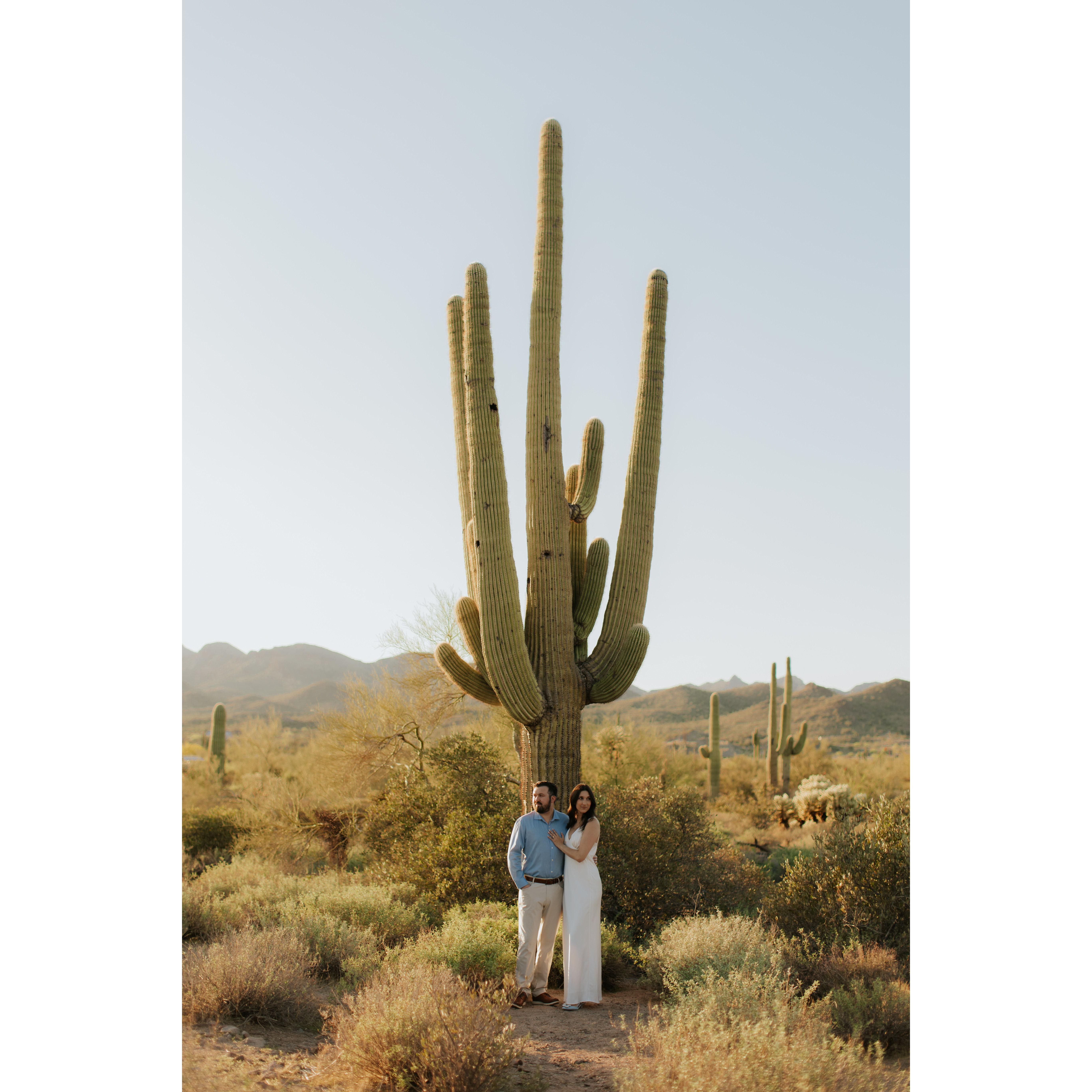 Megan Frassanito and Ben Tolson's Wedding Website