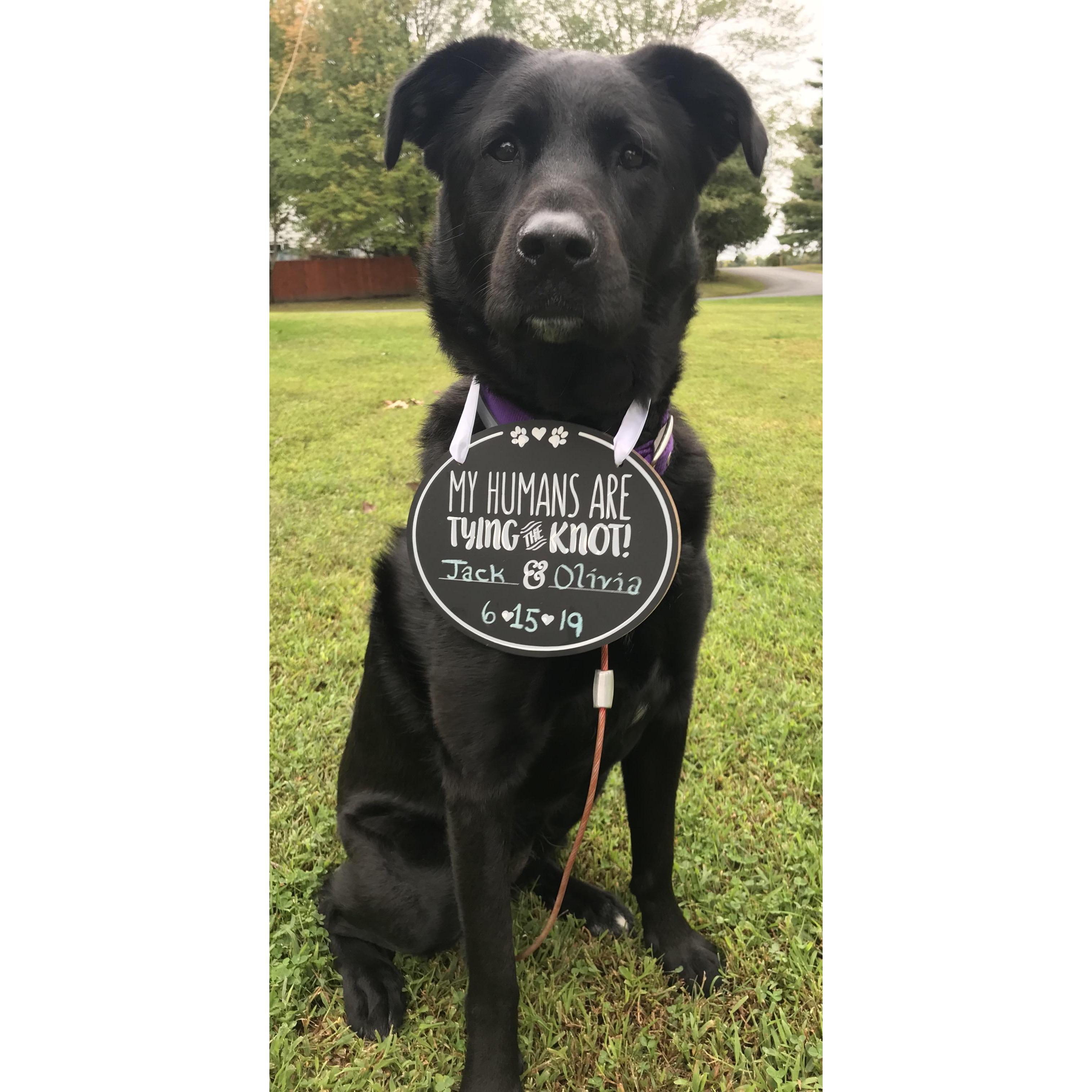 Olivia Parrott and Jack Davis' Wedding Website