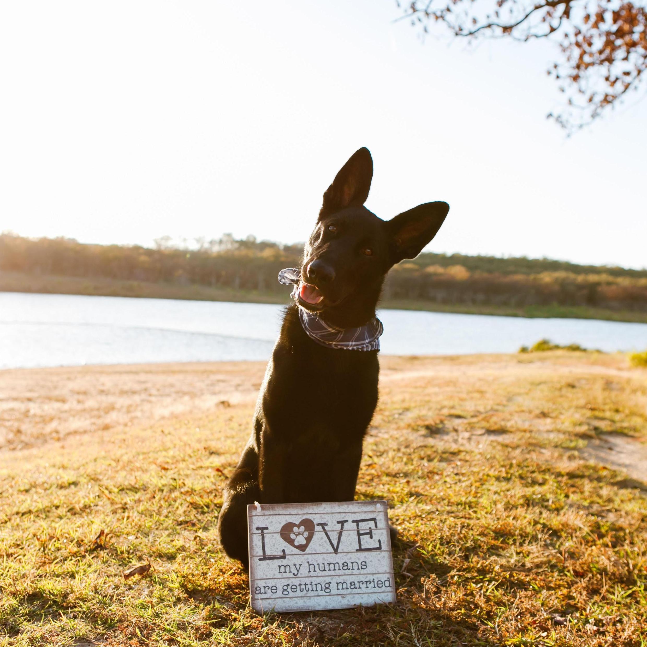 Mariah Maze and Reagan Abel's Wedding Website