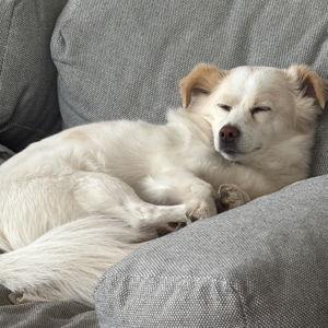 Eric Sabandal and Ellen Rushe's Wedding Registry on Zola