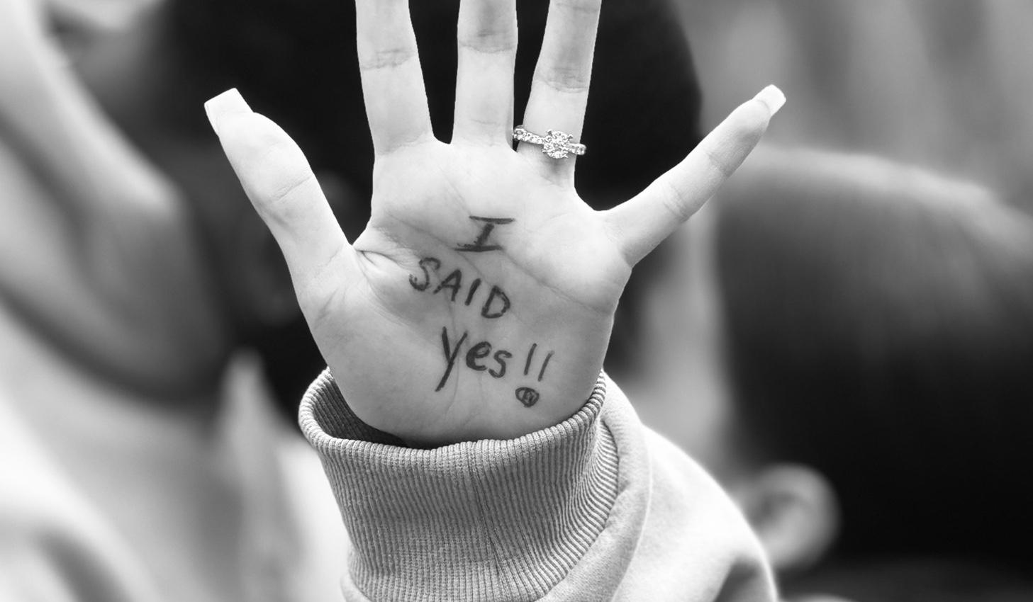 Savannah Lee and Marcus Ware's Wedding Website