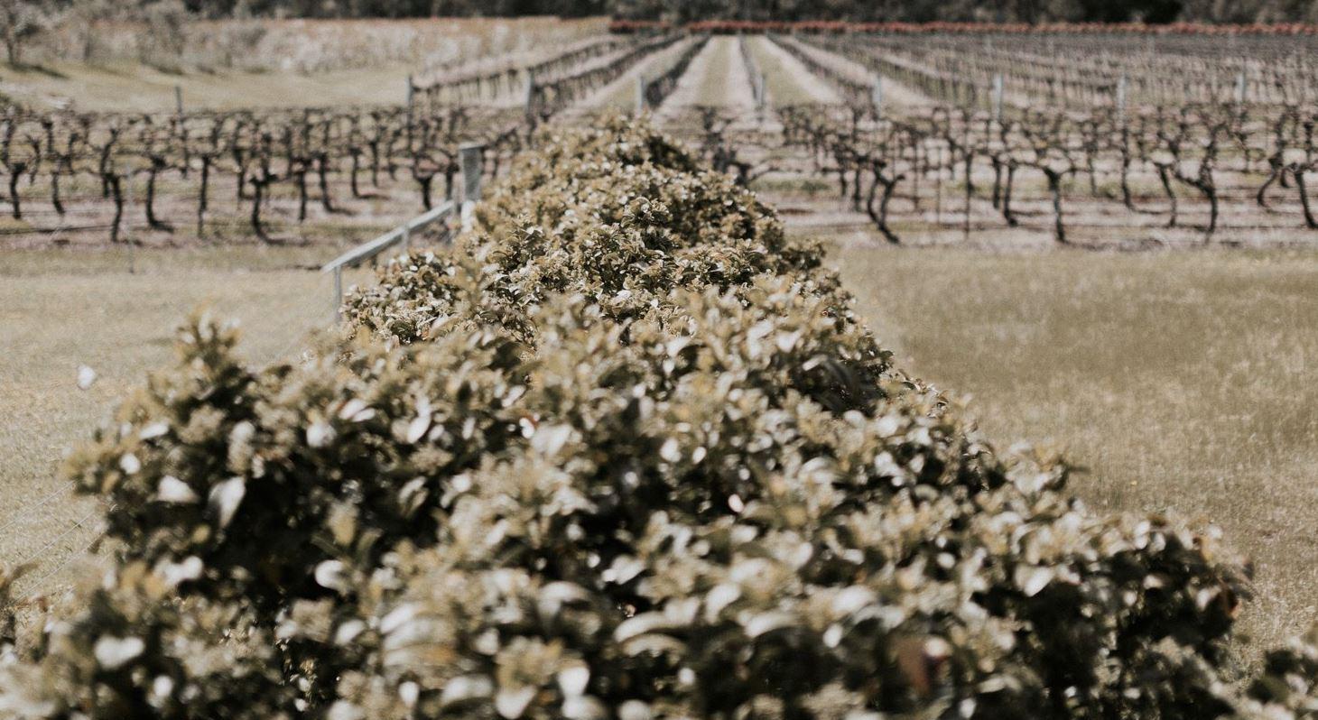 Liam Finch and Madie Zillhardt's Wedding Website