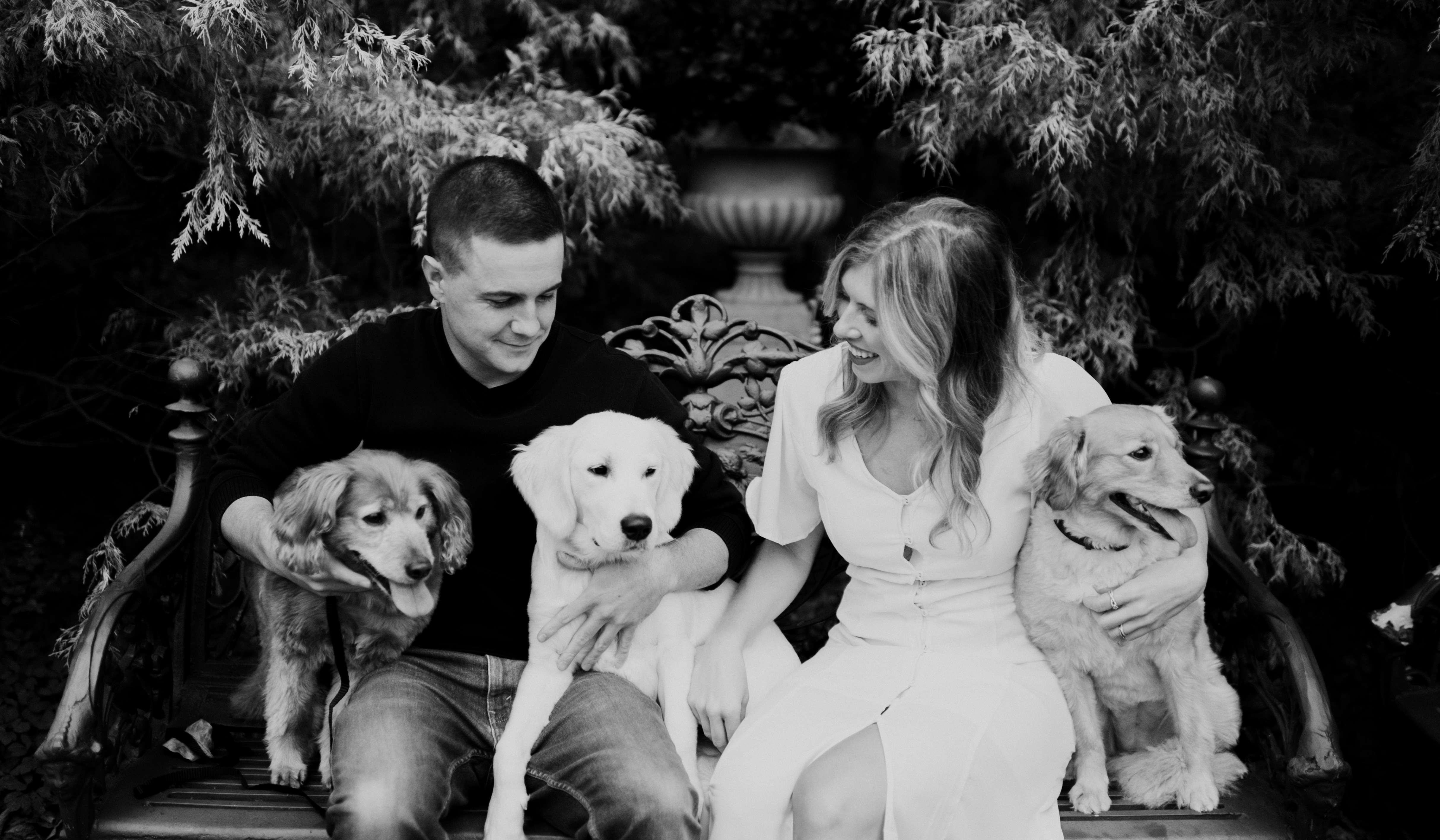 Kasey Hollstegge and Chad Crouse's Wedding Website