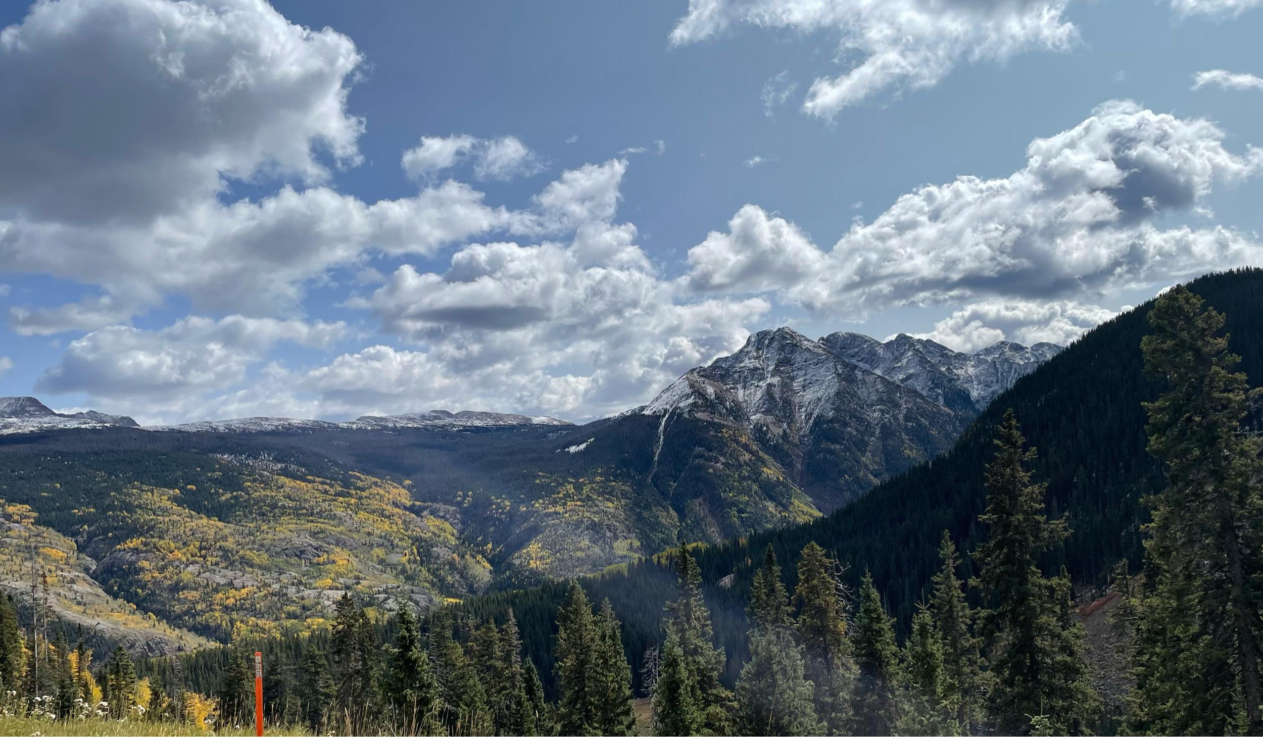 Aubrey Bush and Marcel Chehin's Wedding Website