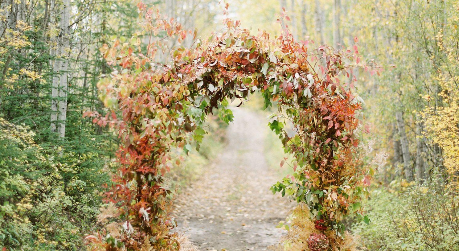 Kaitlyn Welch and Will Smarr's Wedding Website