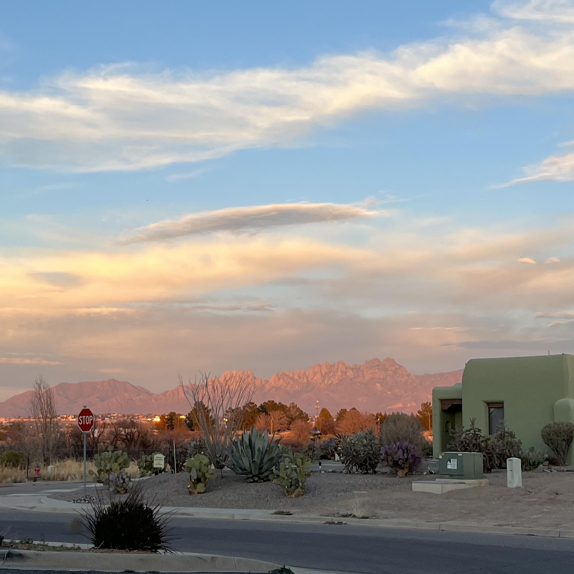 Juliette Mauldin and Brandon Santiago's Wedding Registry on Zola