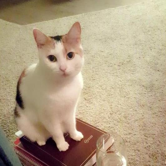 Kayla Putman and Joseph Miller's Wedding Website