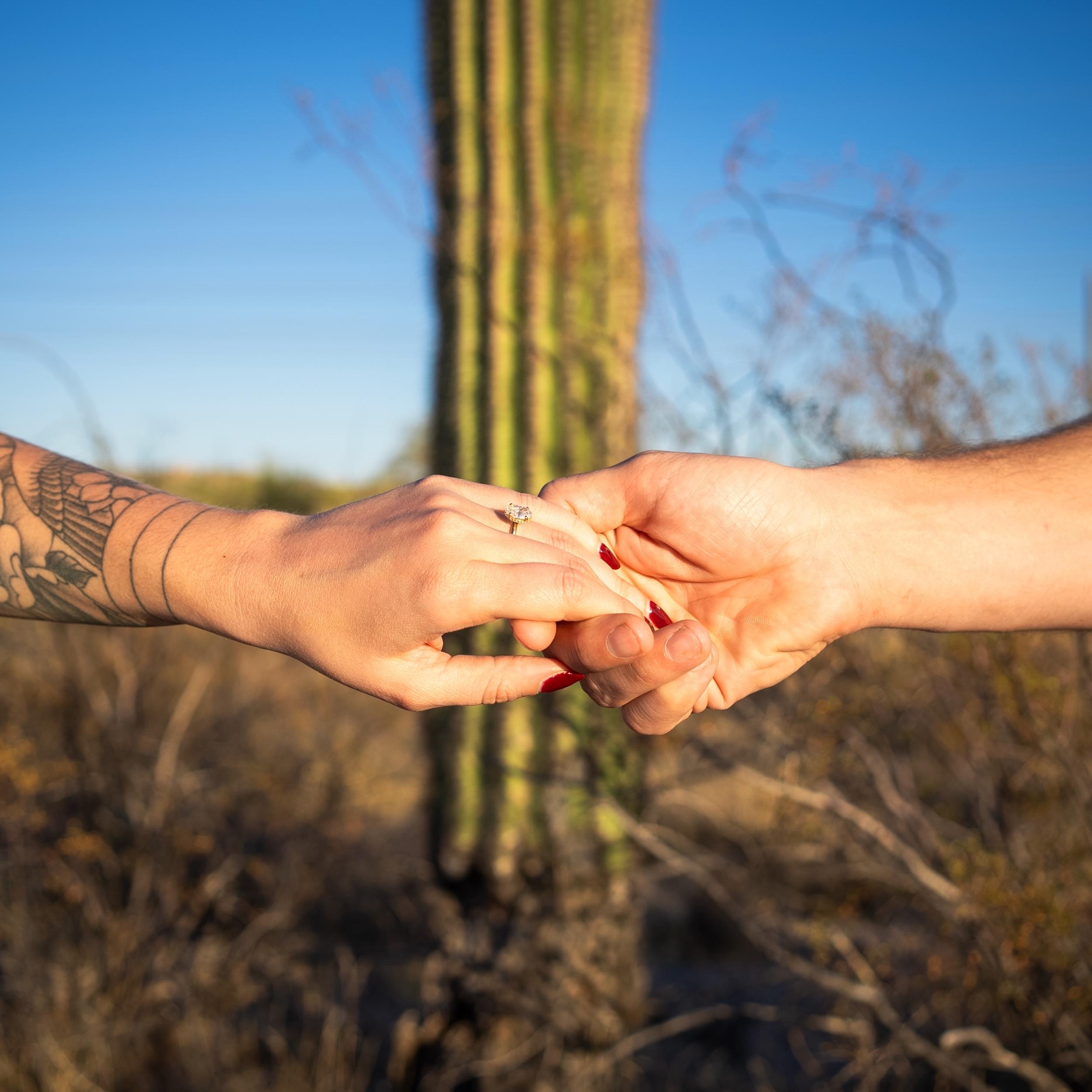 Jillian Jacobson and Cameron Snyder's Wedding Website