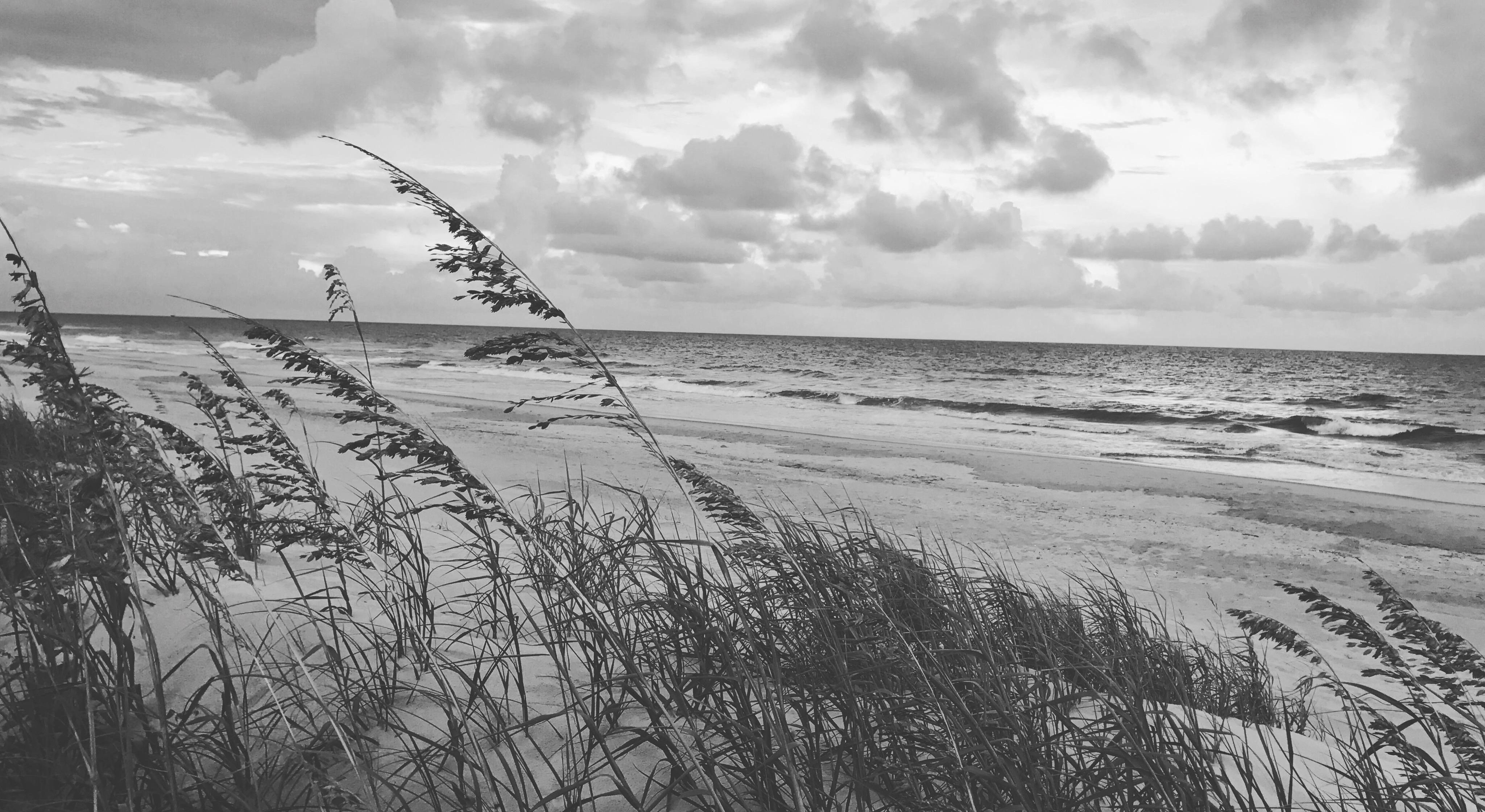 Sarah Sievers and David Snyder's Wedding Website