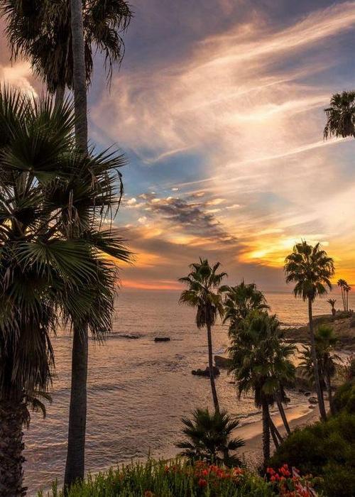 Elli Beasley and Ryan Rosenbaum's Wedding Website