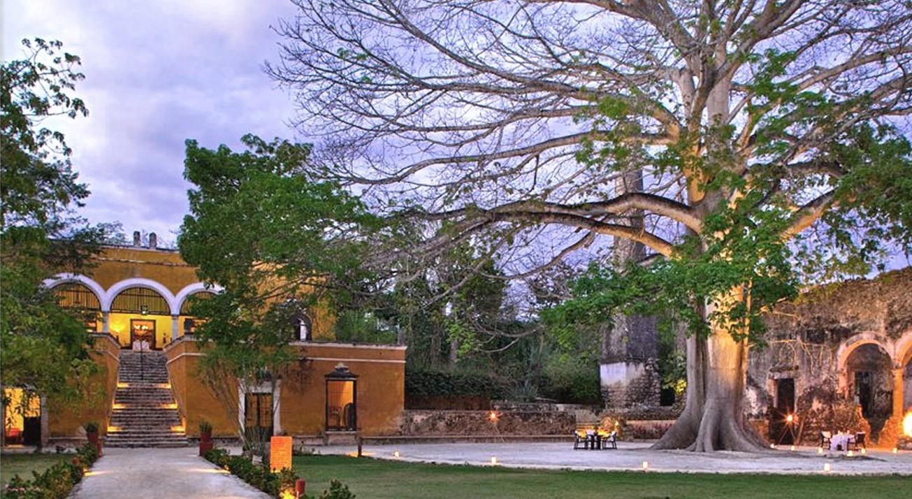 Ana Sofia Gonzalez-Villarreal and Omar Alejandro Ramirez-Vazquez's ...