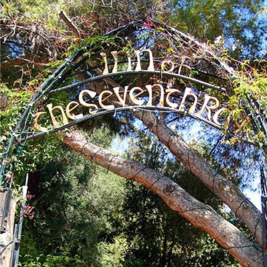 Susan Augustine and James Morris' Wedding Website