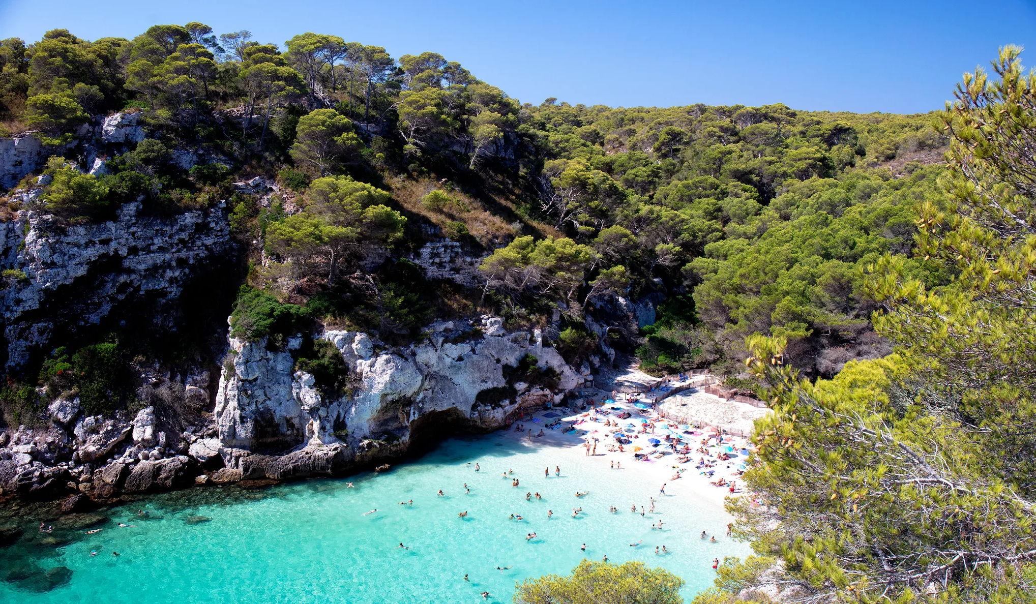 Sara Taves and Gabriel Baeza's Wedding Website