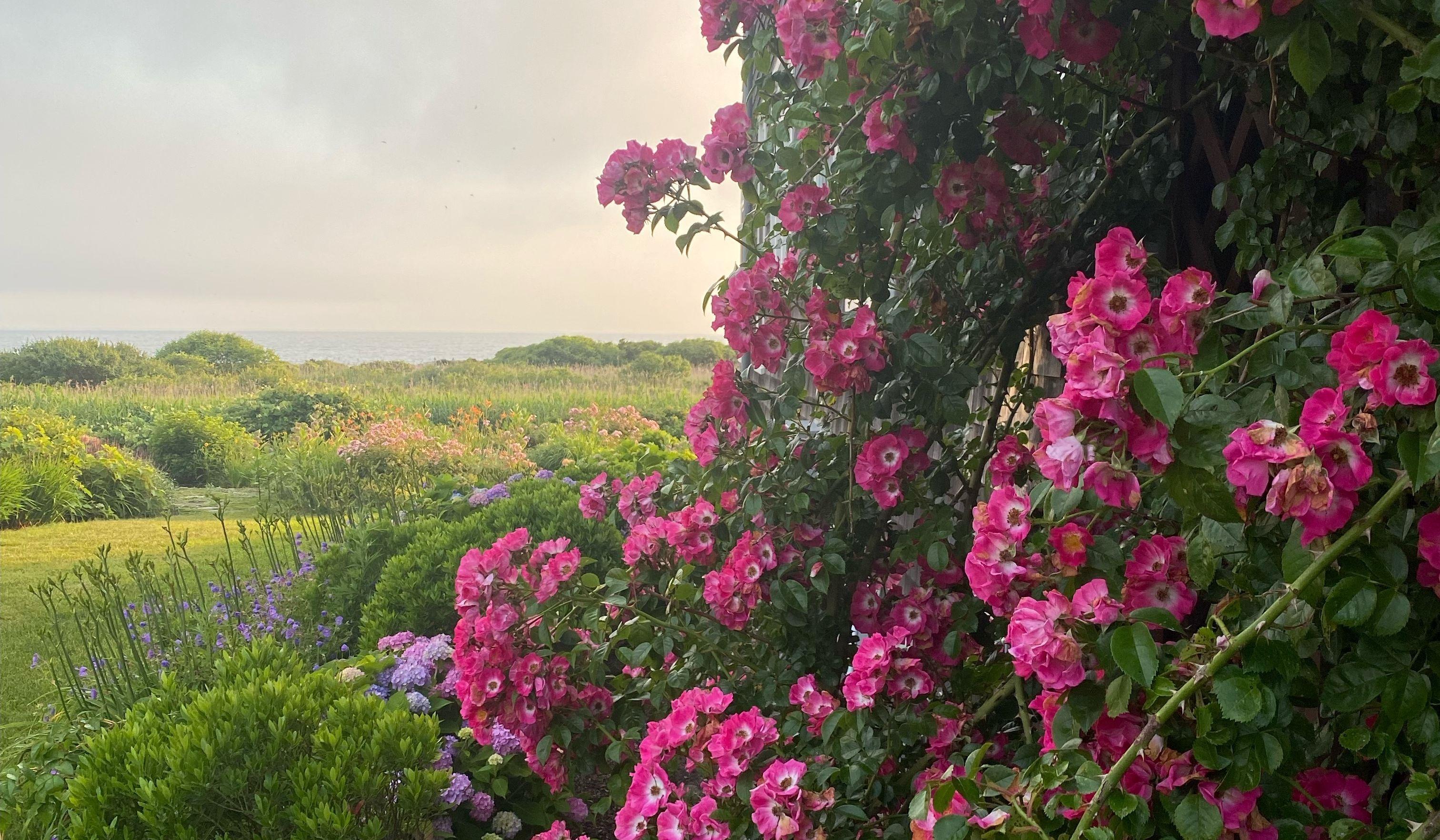 Emma Rubenstein and Evan Hunt's Wedding Website