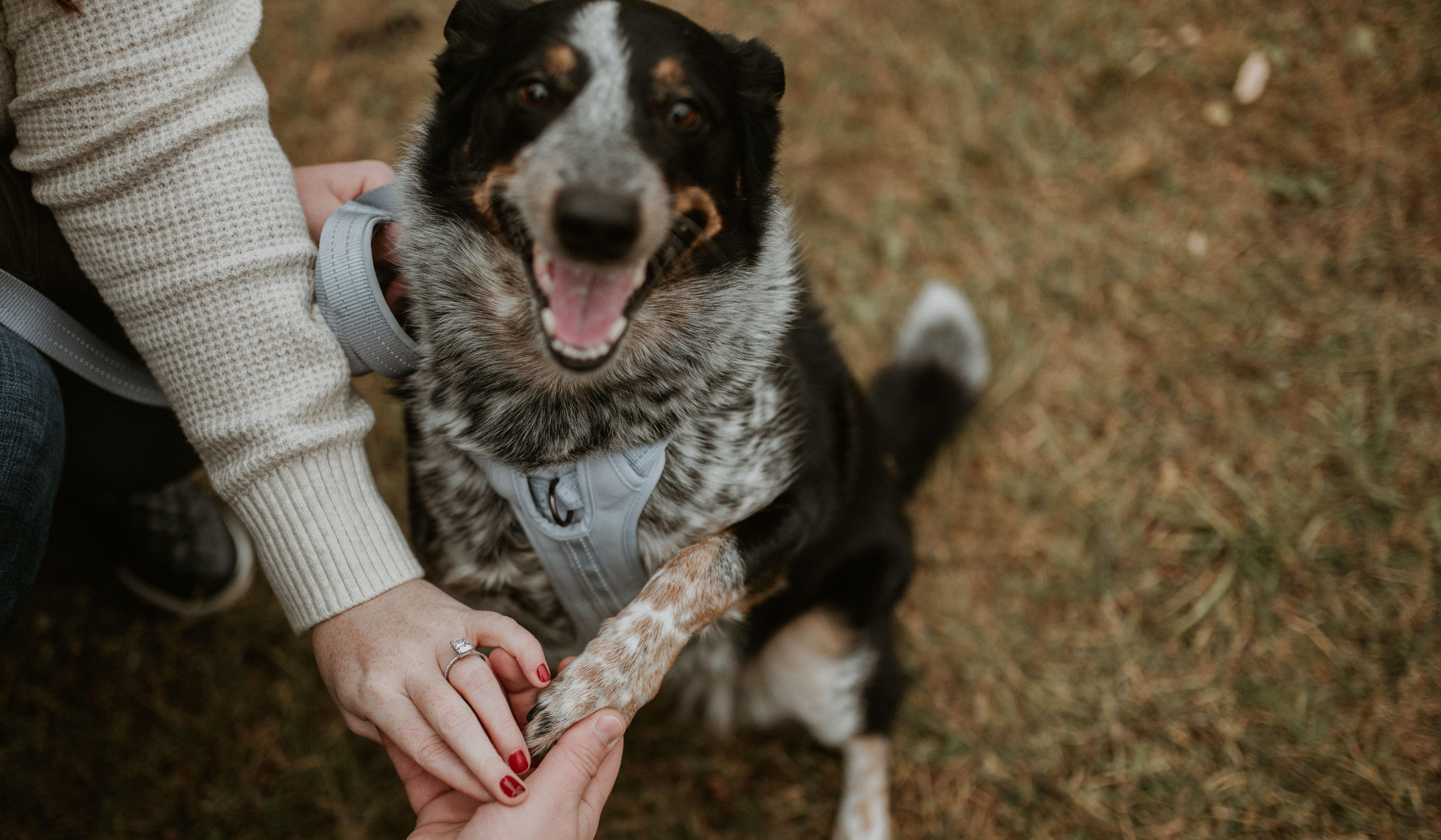 Sarah Jessica Griffin and Patrick Ferry's Wedding Website