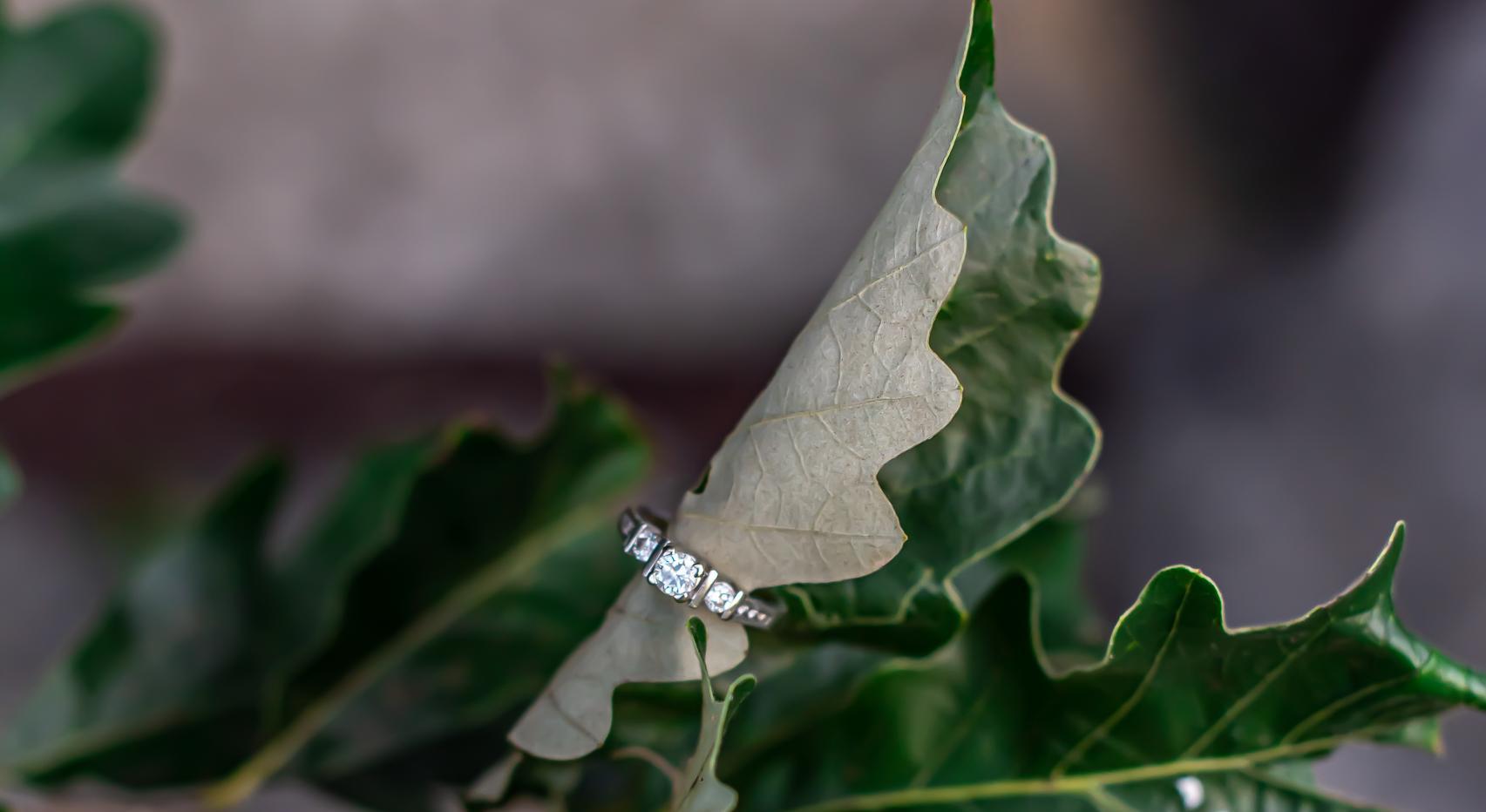 Victoria Bromley and Thomas Mckinstry's Wedding Website