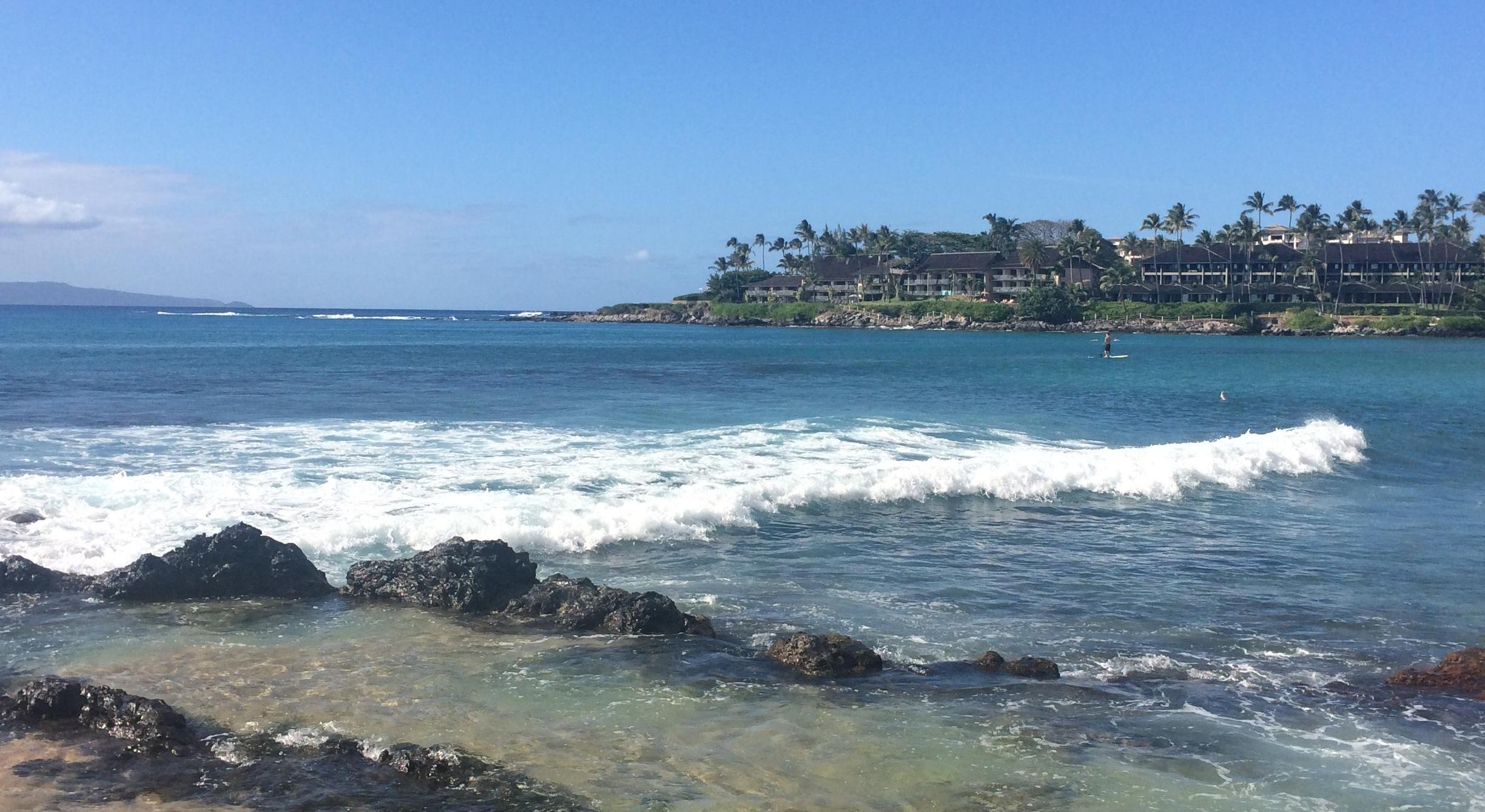 Michael McKinley and Julie Escobar's Wedding Website