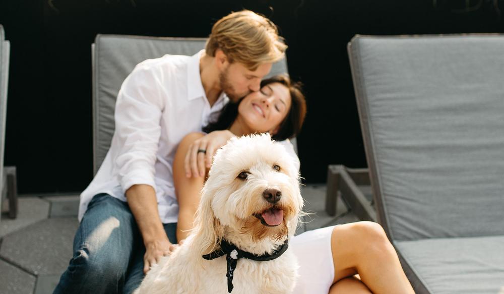 Kelly Procida and Andrew Stranick's Wedding Website