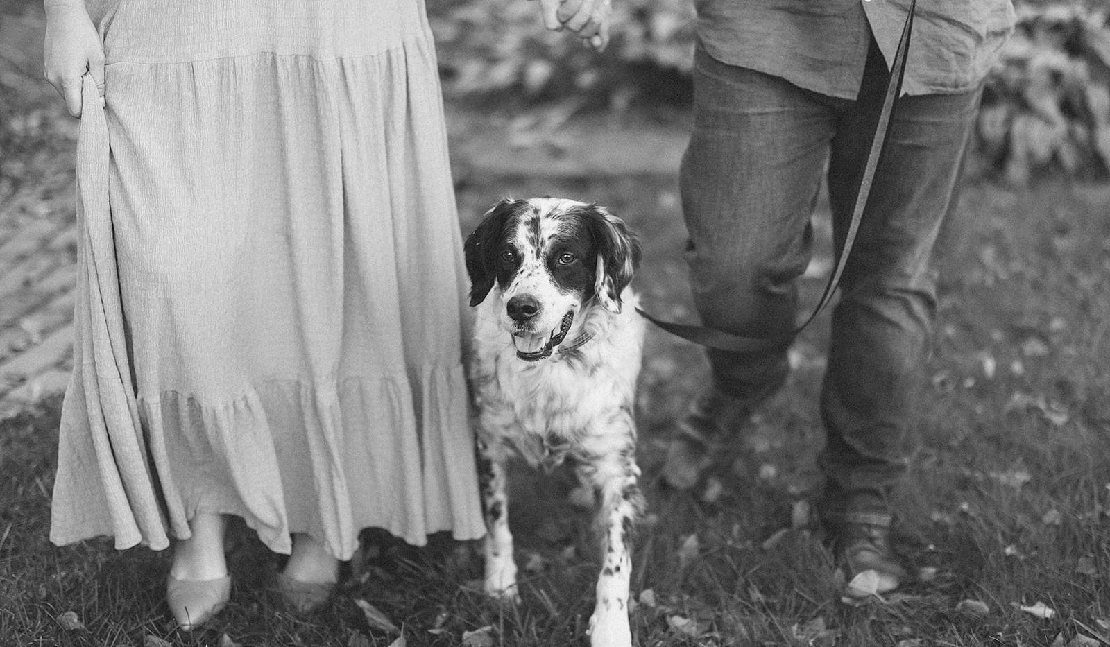 Morgan Atanasio and Patrick Taranto's Wedding Website