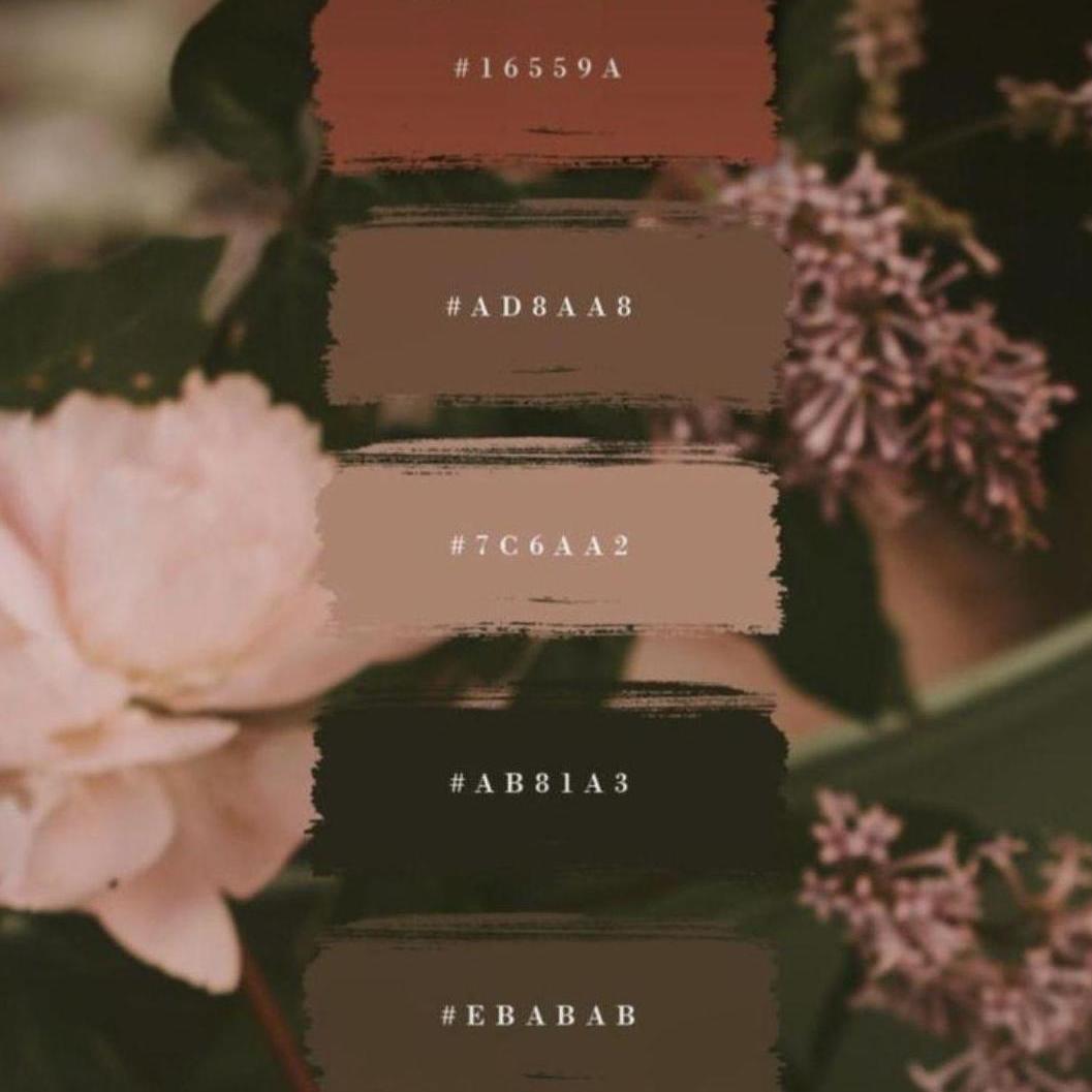 Jessica Knight and Zachary Mortara's Wedding Website