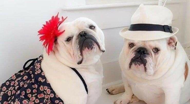 Bubba Turner and Wandaliz Cosme's Wedding Website