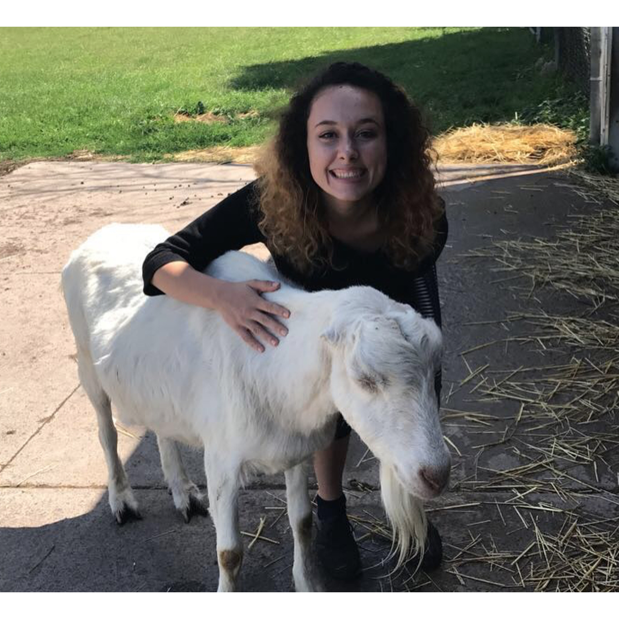 Megan Trapani and Joey Diven's Wedding Website