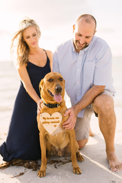 Carlin Maxwell and Jeffrey Godfrey's Wedding Website