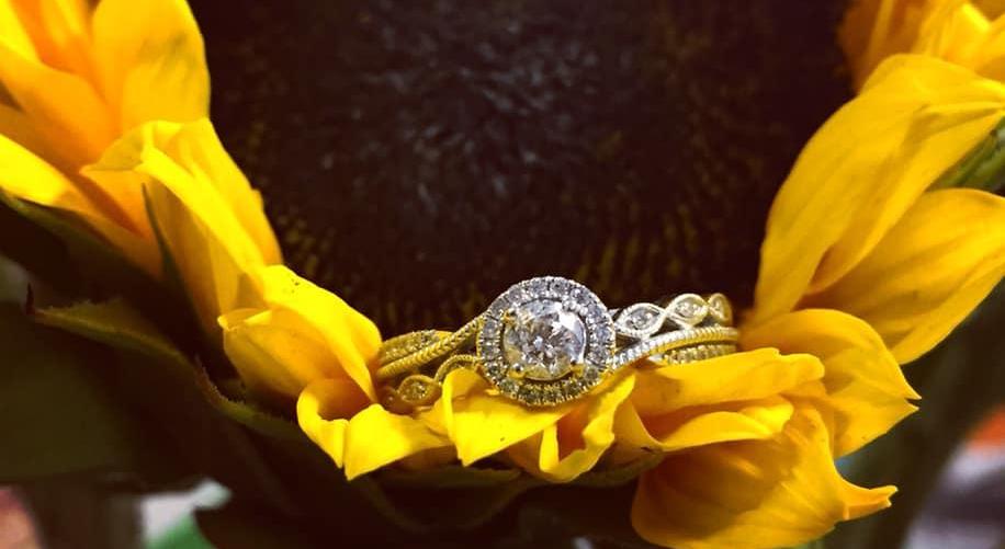 Stephanie Adkins and Reginald Roberson's Wedding Website