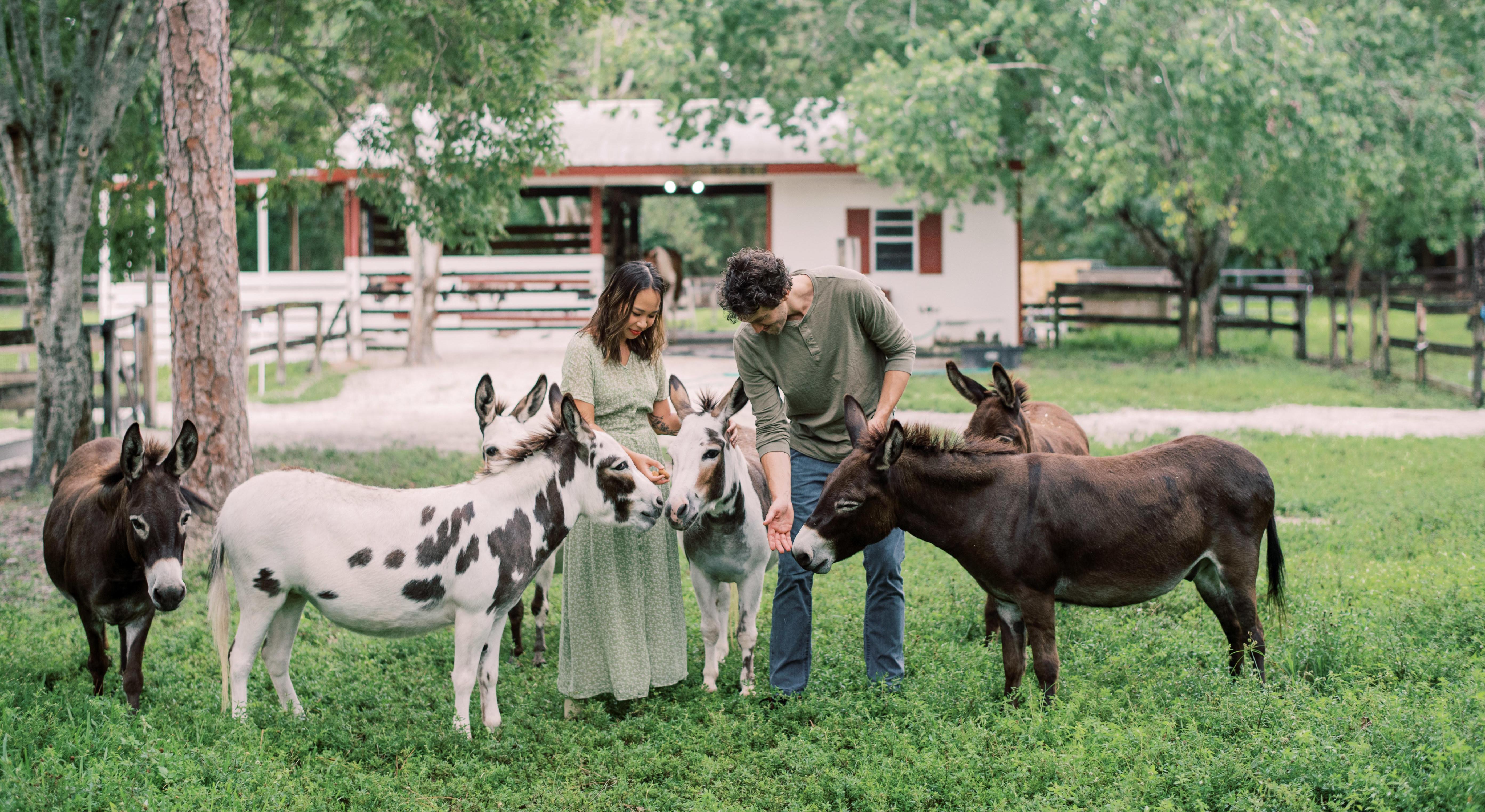 Alexander Cotler and Prudence Luong's Wedding Website
