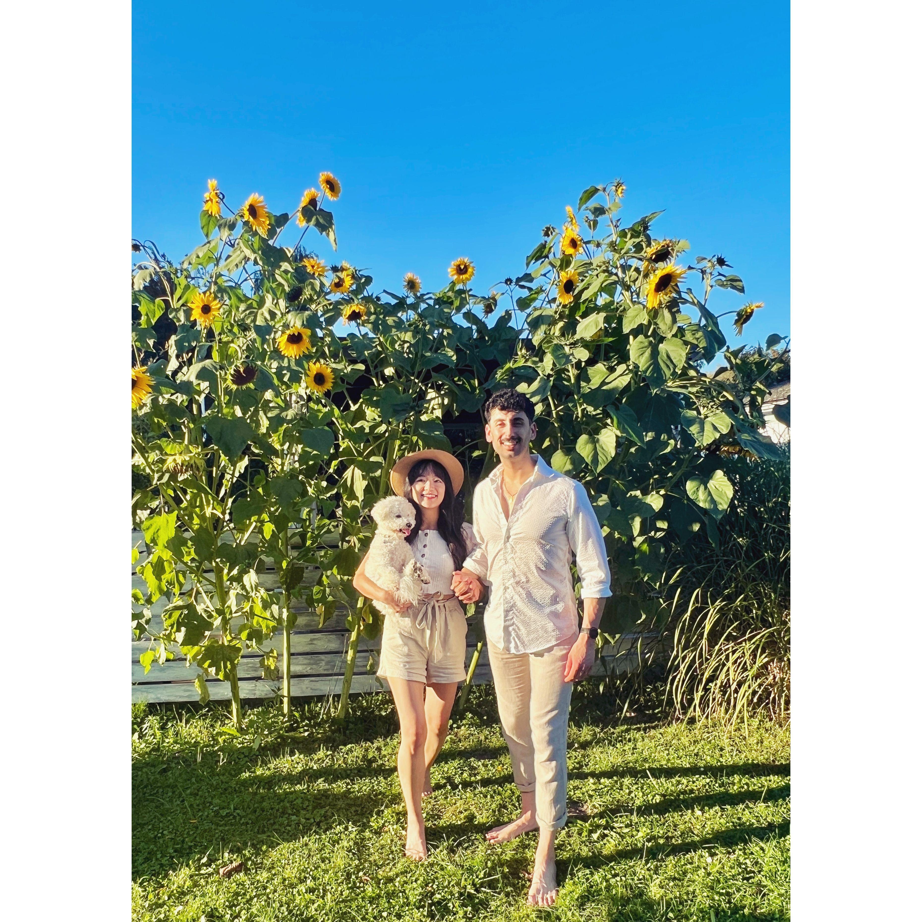 Yeon-Joo Oh and David Fava's Wedding Website