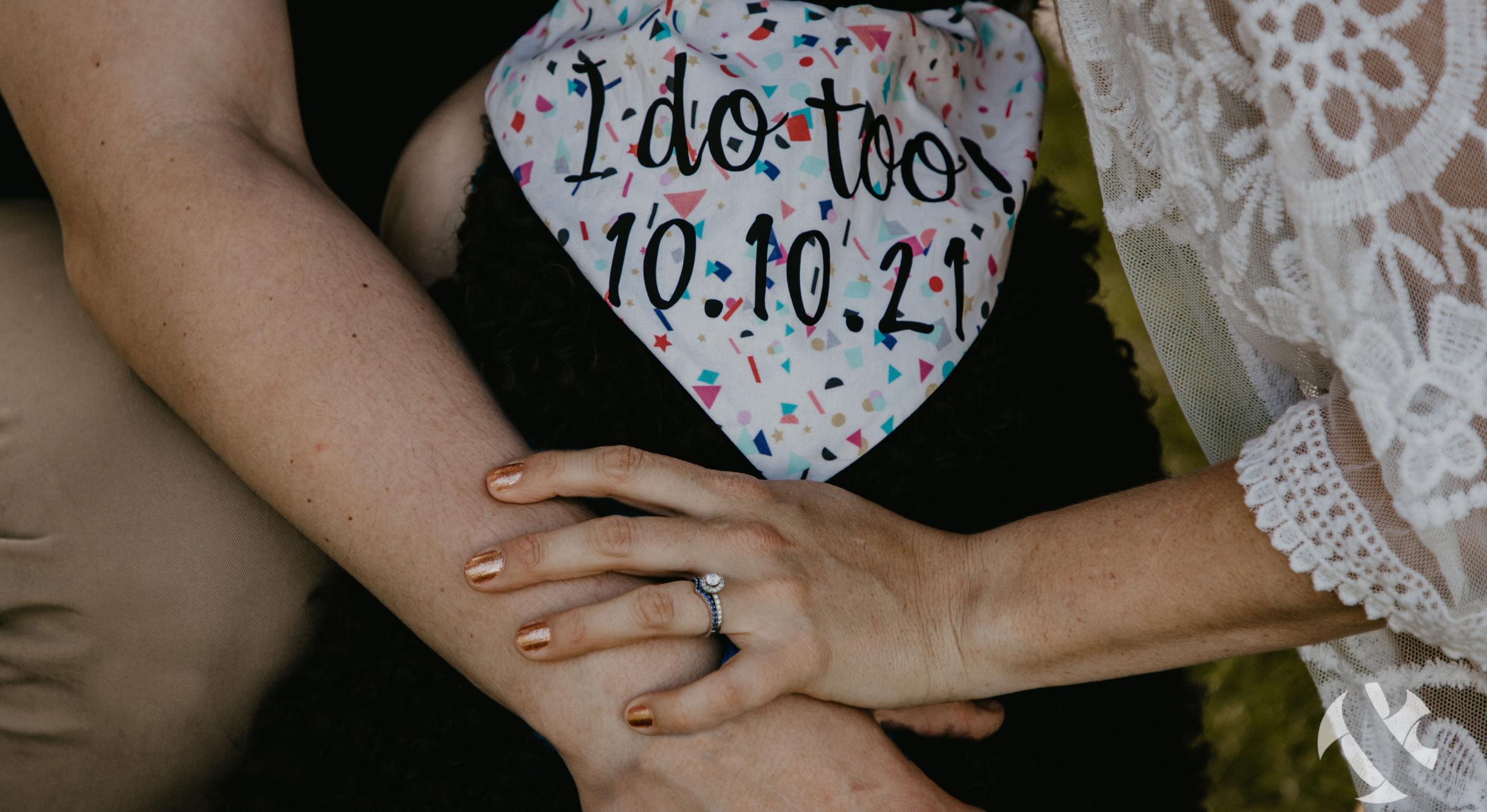 Rachel Beaudry and David Wilcox's Wedding Website