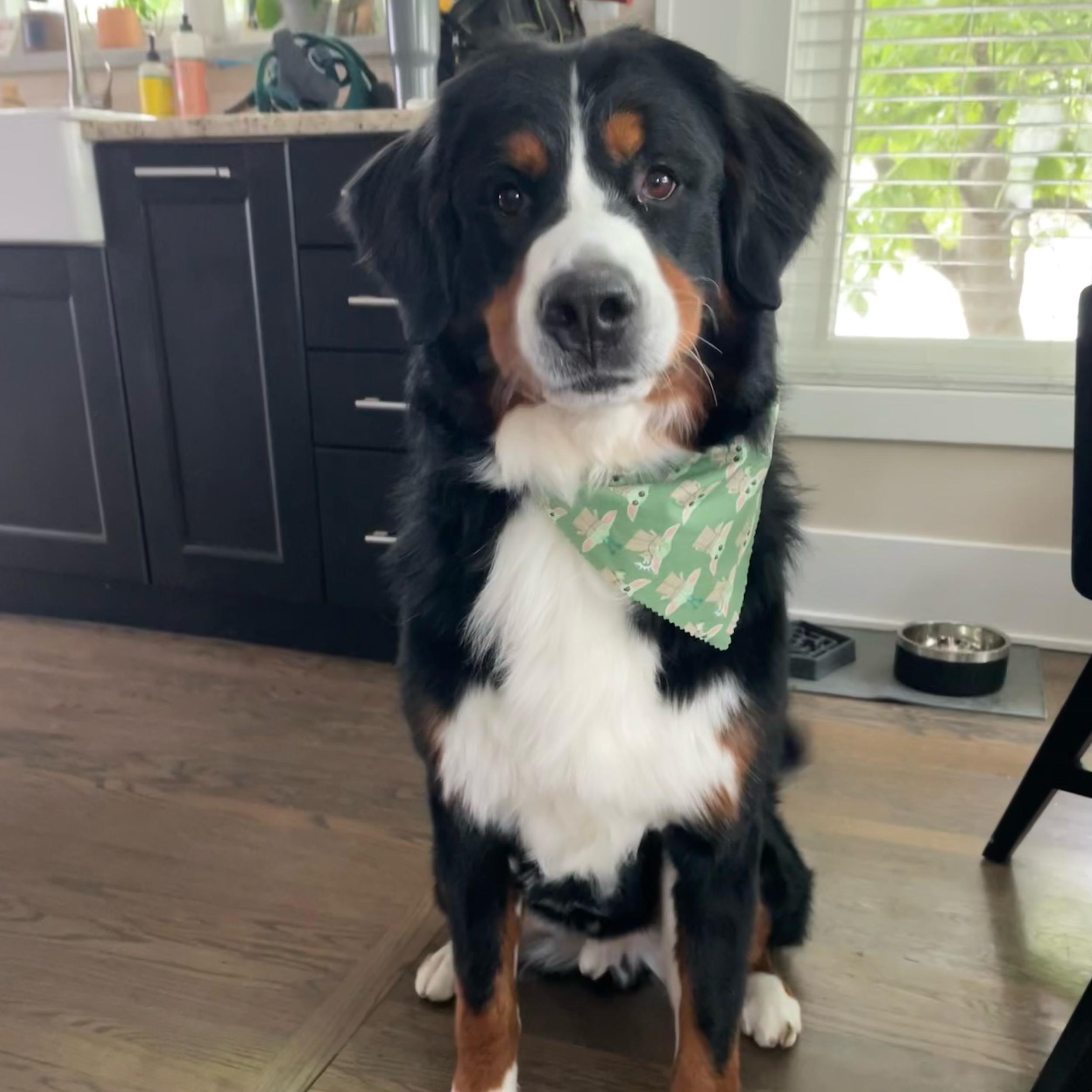 Angela Sherman and Nick Rogish's Wedding Registry on Zola