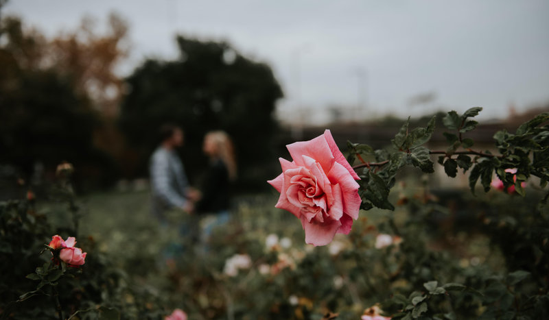 Jordan Nassif and Andrew Hoffman's Wedding Website