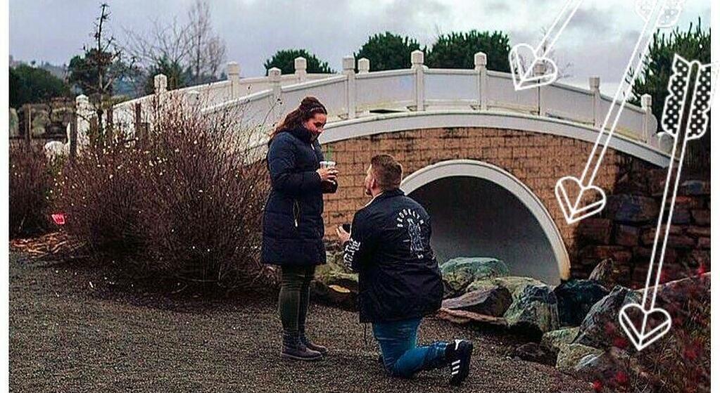 Brenna Wheeler and Zack Nixon's Wedding Website