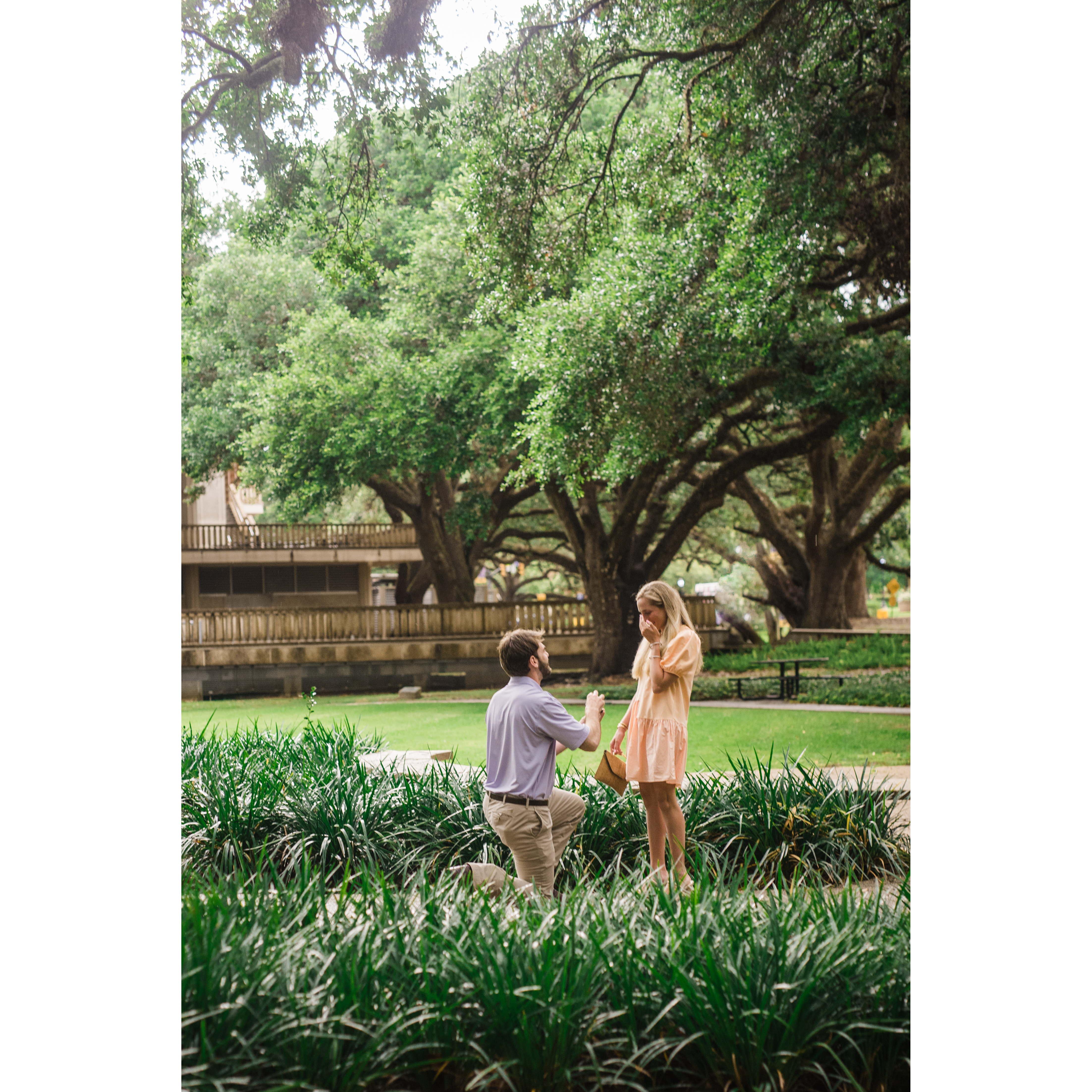 Katelyn Rodriguez and Cameron Gomes' Wedding Website