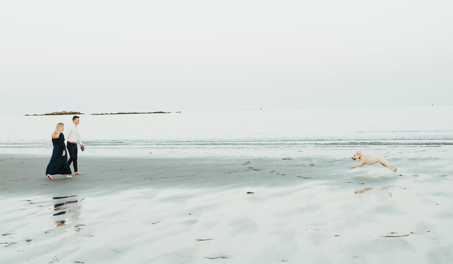 Lindsey Phelps and Michael Bane's Wedding Website