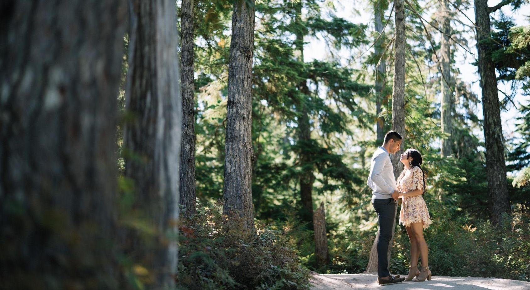 Shefali Tandon and Sobe Lumb's Wedding Website