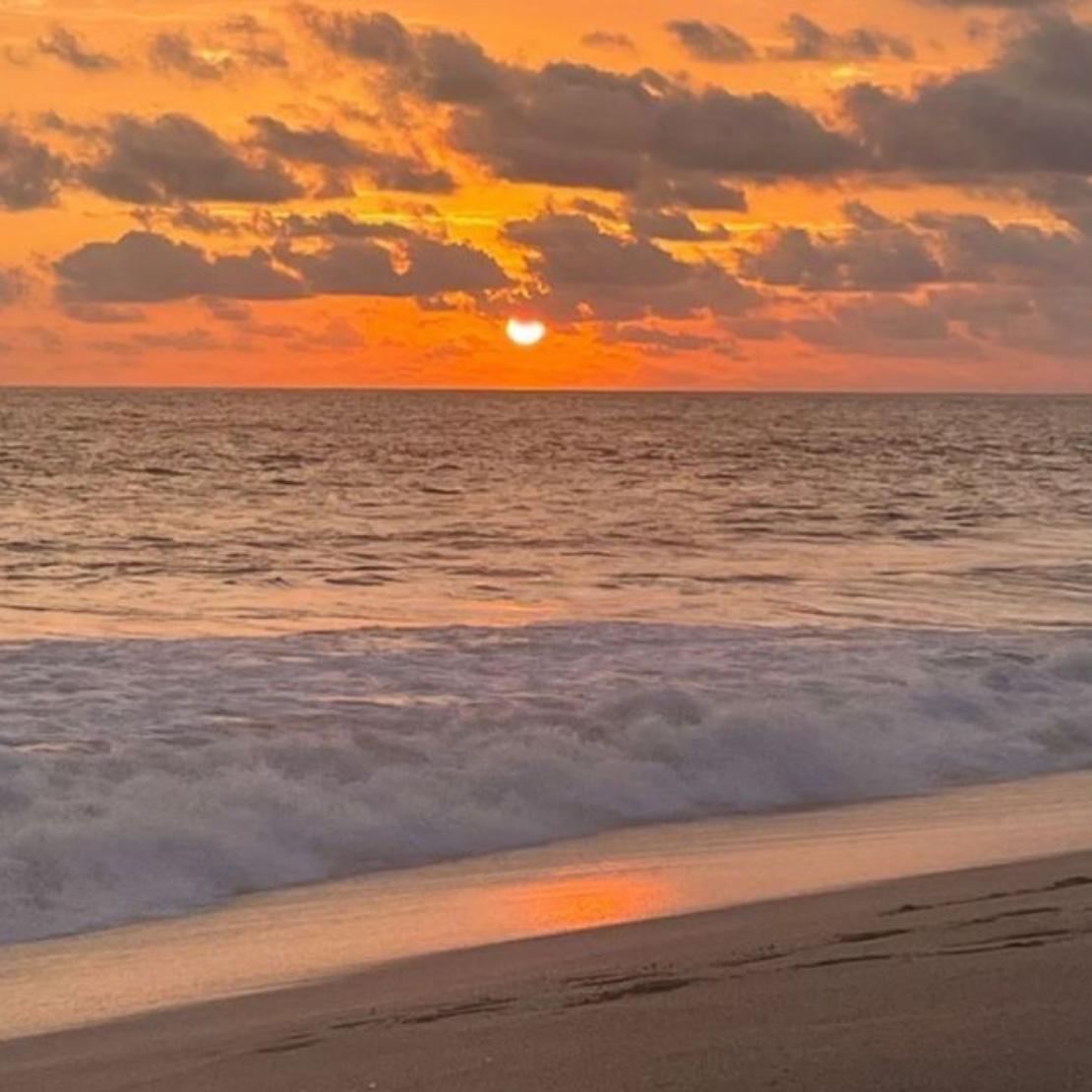 Teralyn MacArthur and Nathan Laszlo's Wedding Website