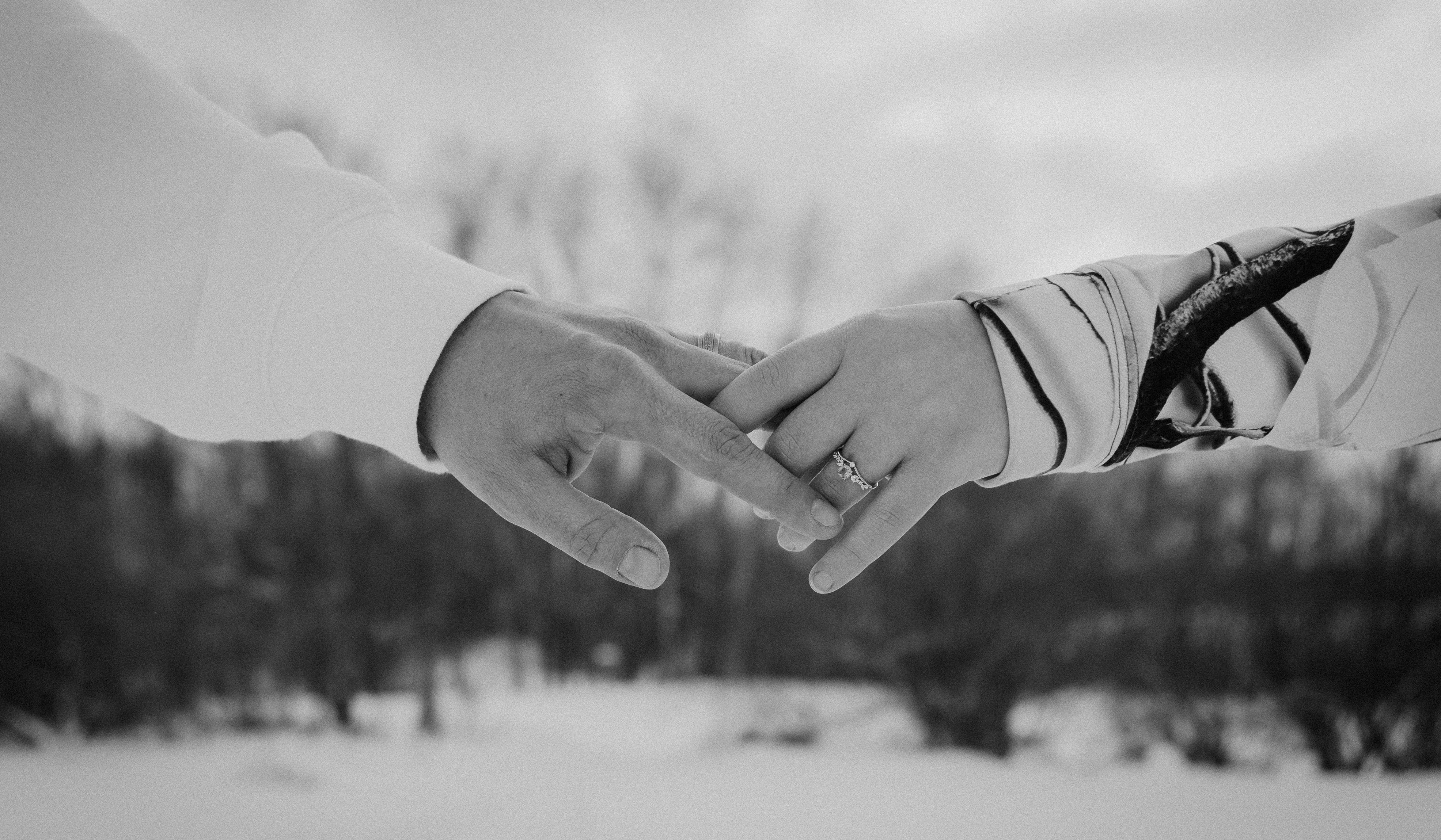 Kathryn Soltis and Matthew Rashotte's Wedding Website