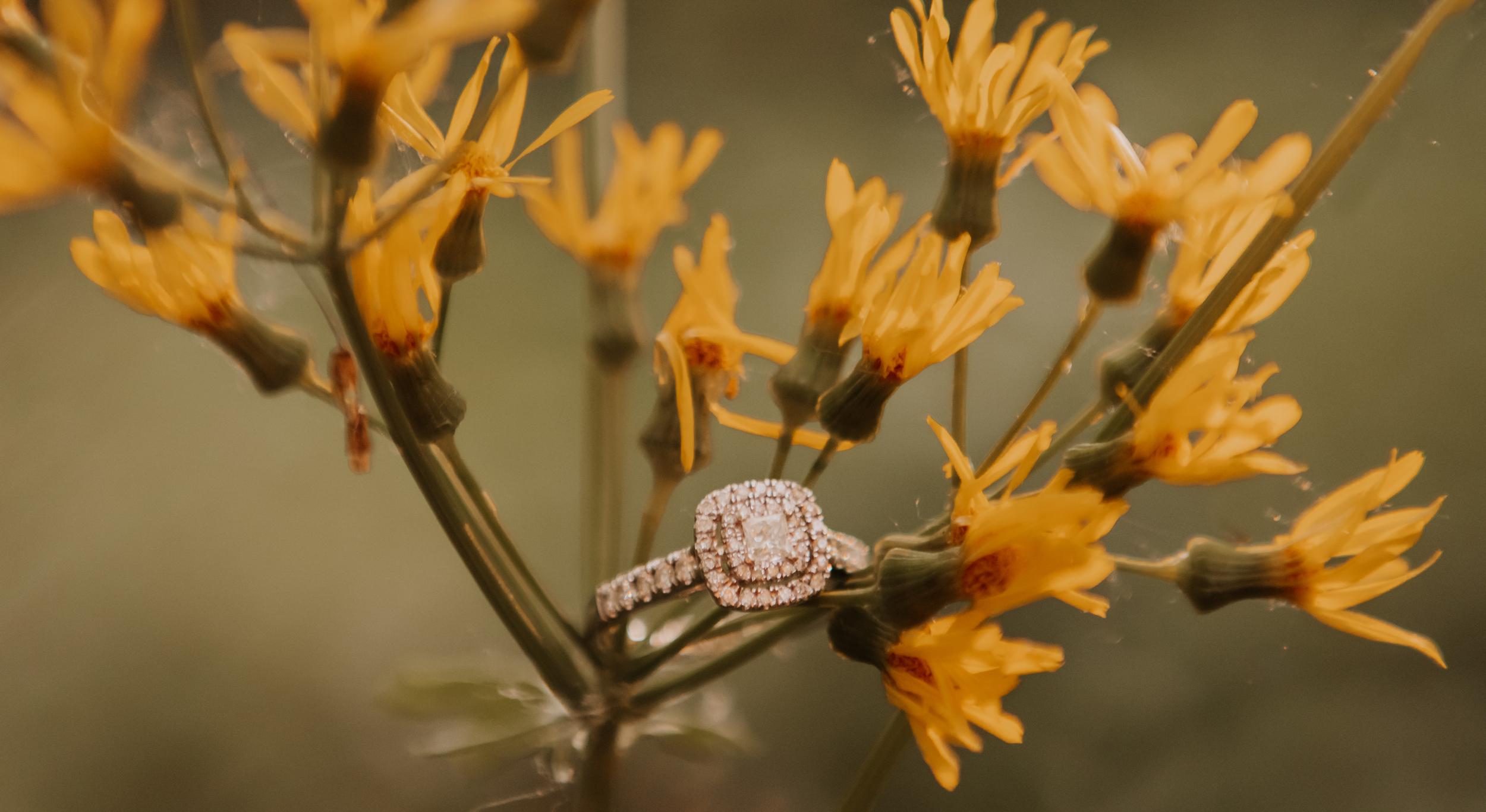 jenna norvell and grant sperry's Wedding Website