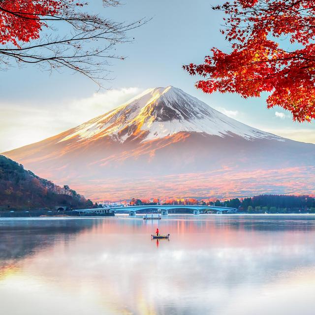 Julia Lanham and Taylor Shirley's Wedding Registry on Zola