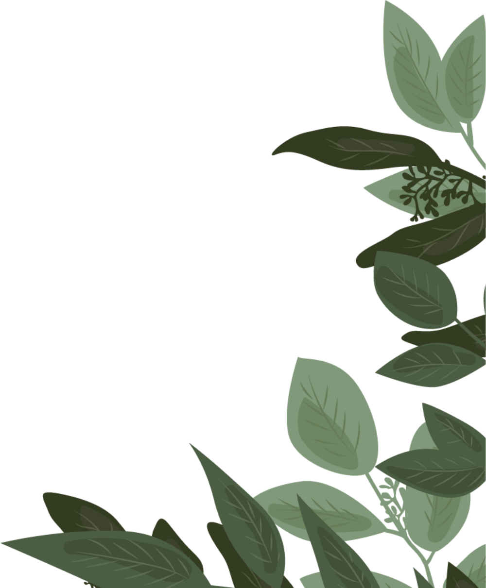 Samantha Harris and Dominic Jefferson's Wedding Website