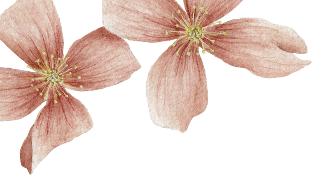 Michael Risley and Samantha Ciaramitaro's Wedding Website