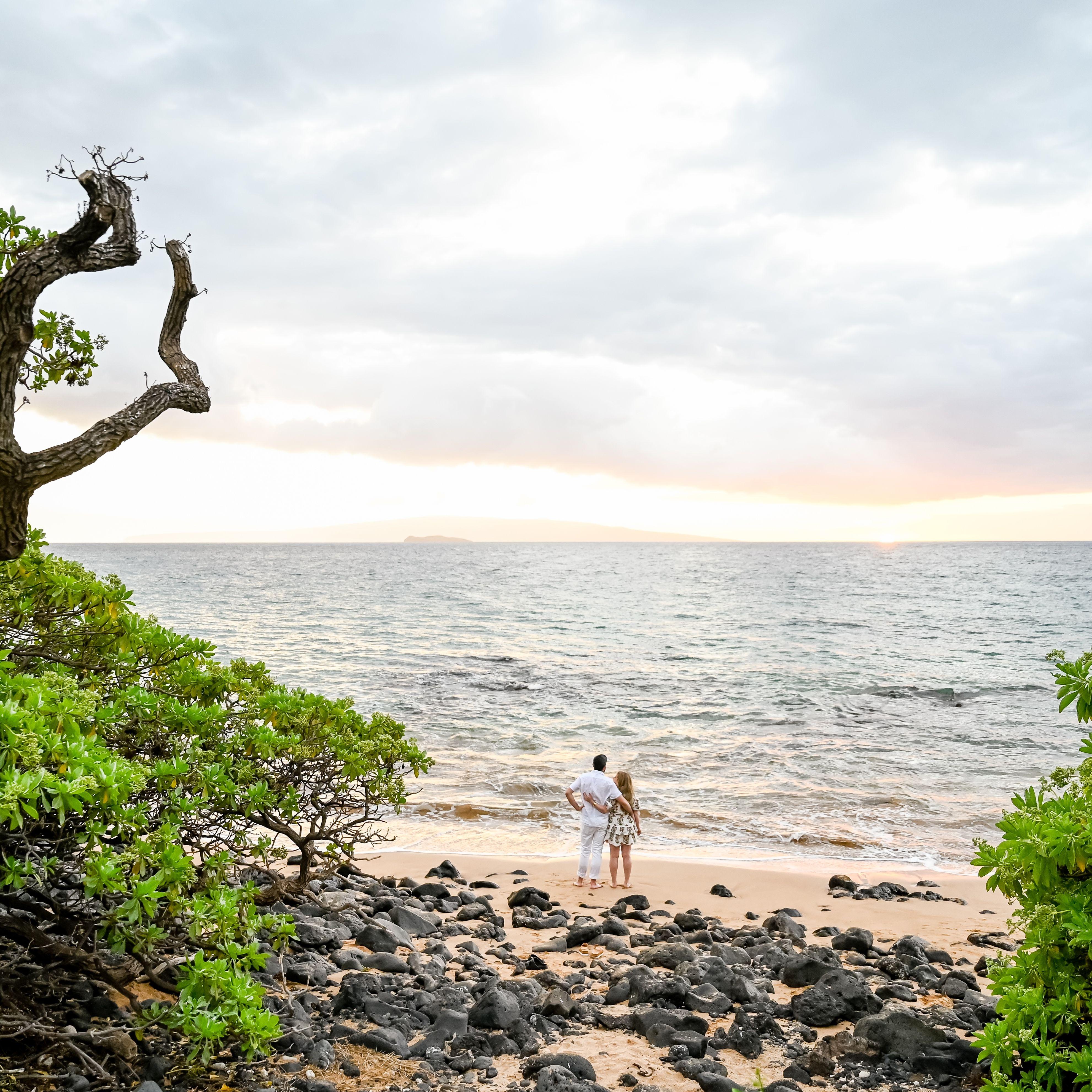 Dora Scheidlinger and Saul Leiken's Wedding Website